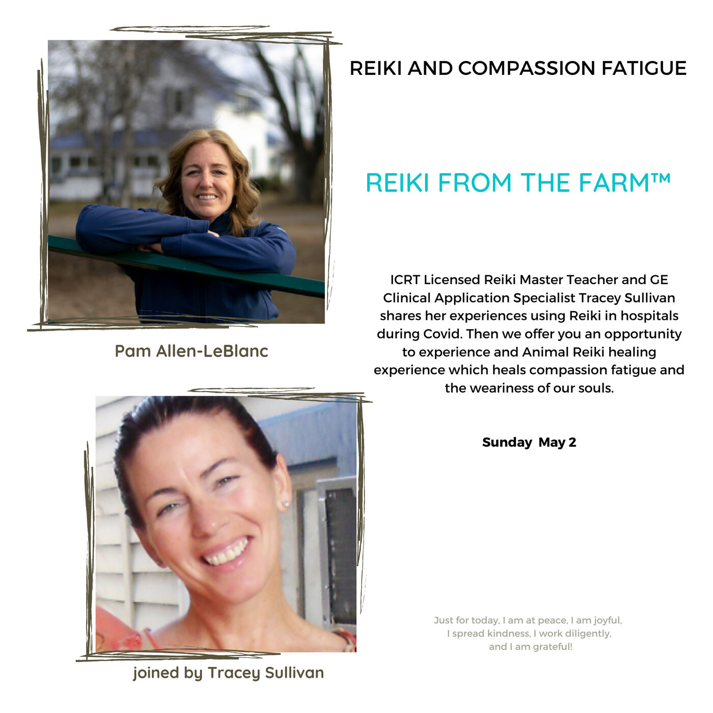 Reiki and Compassion Fatigue with Tracey Sullivan, LRMT – Hidden Brook Farm